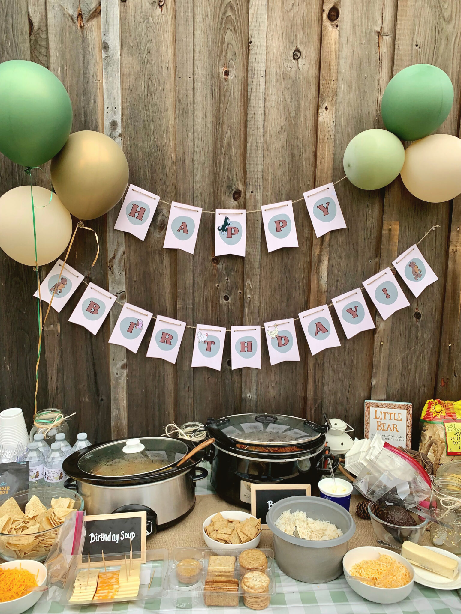 How to Host a Little Bear Birthday Party! - lifeonfern.com